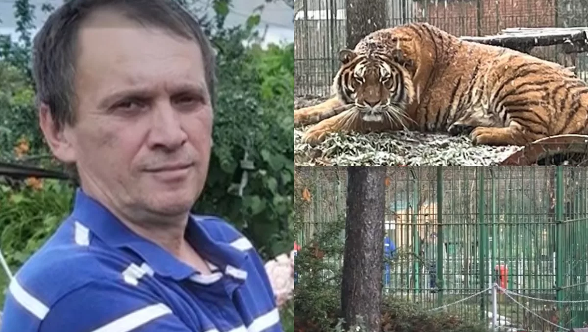 El este îngrijitorul de la Grădina Zoologică din Pitești sfâșiat de ...